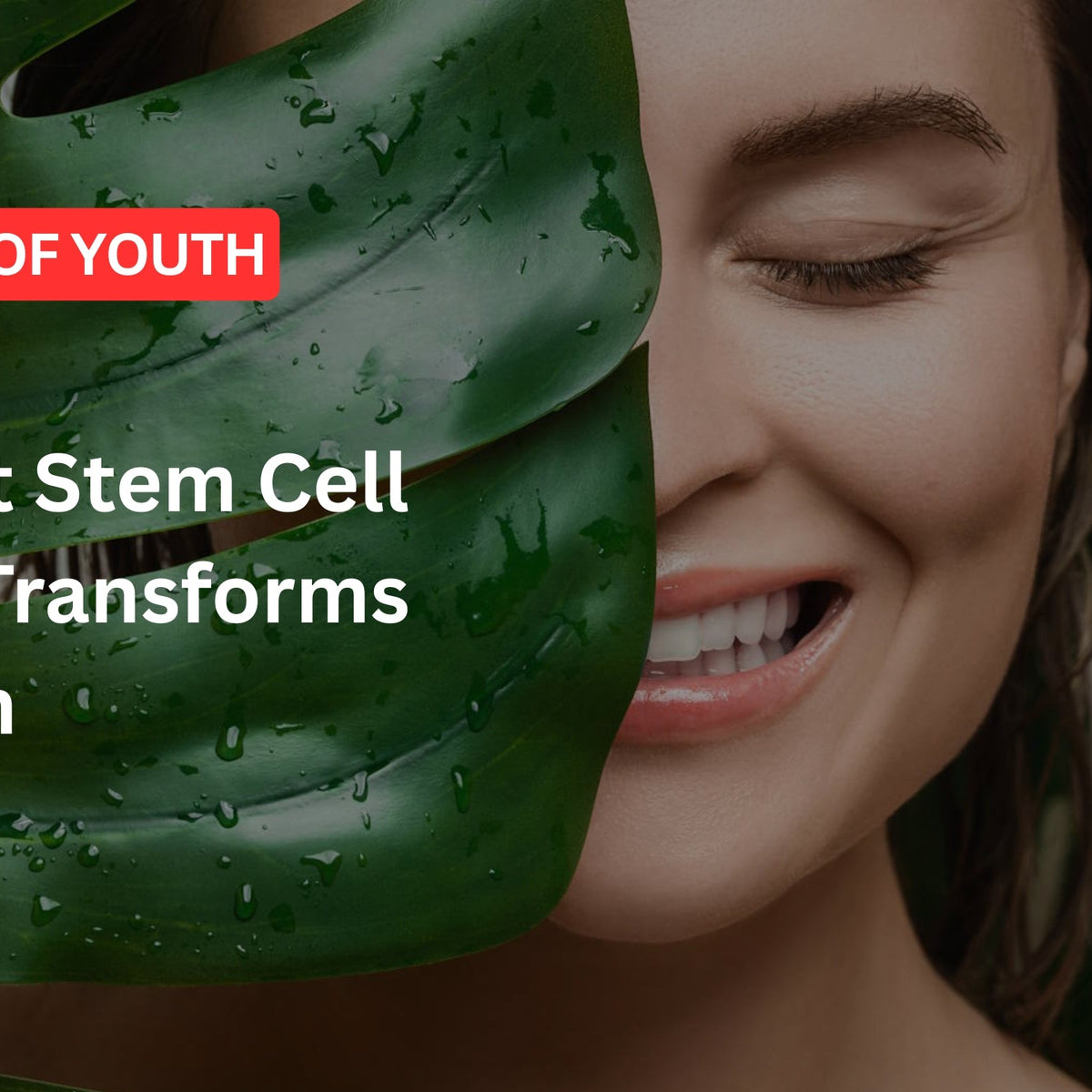 The Science of Youth: How Plant Stem Cell Skincare Transforms Aging Sk ...